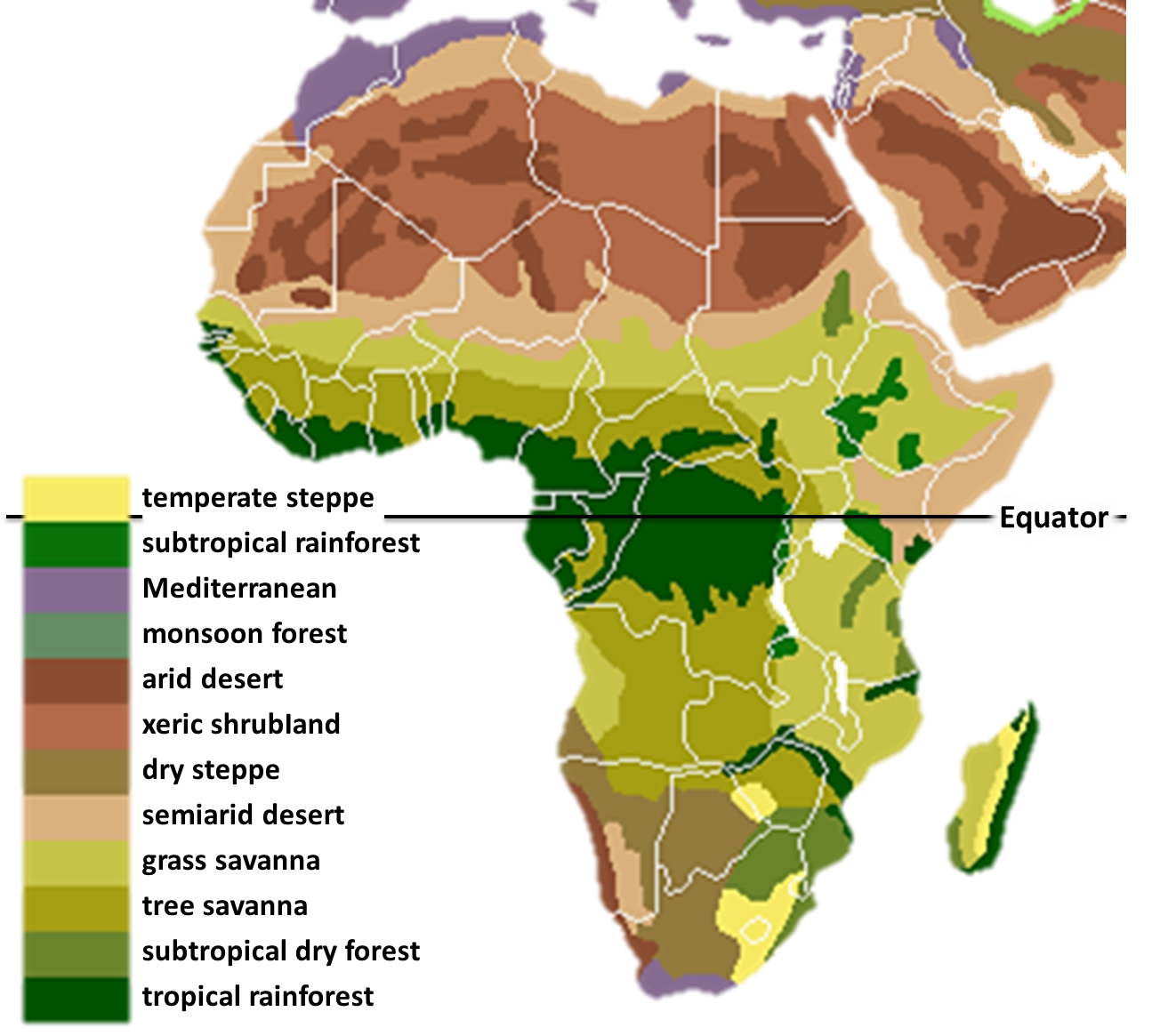 Introduction to the Tropical Forests of Africa – International Society ...